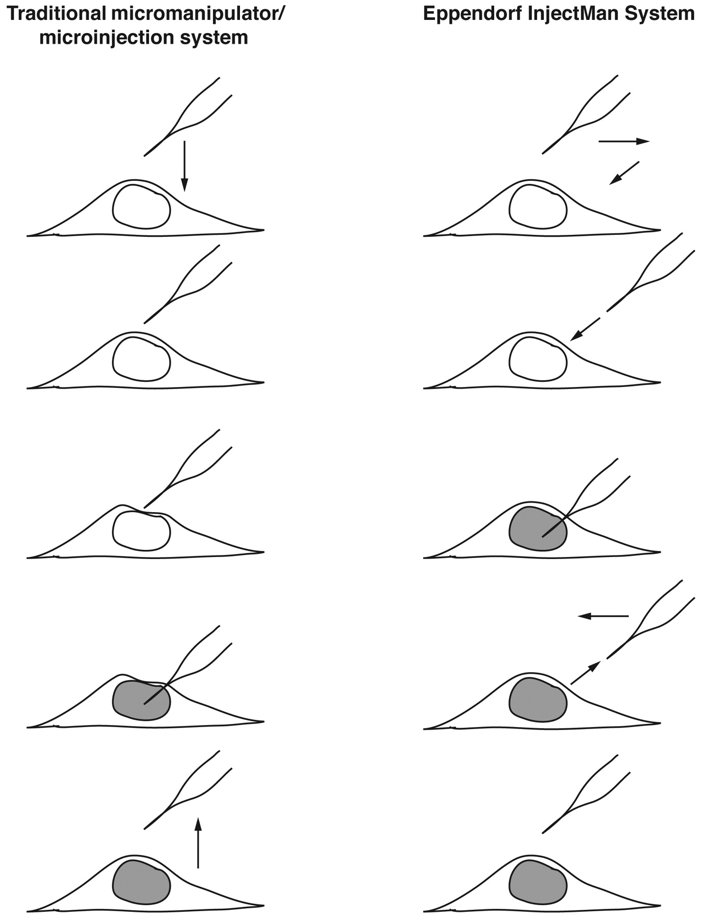 Nonviral Gene Delivery