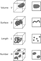 Introduction to Stereology