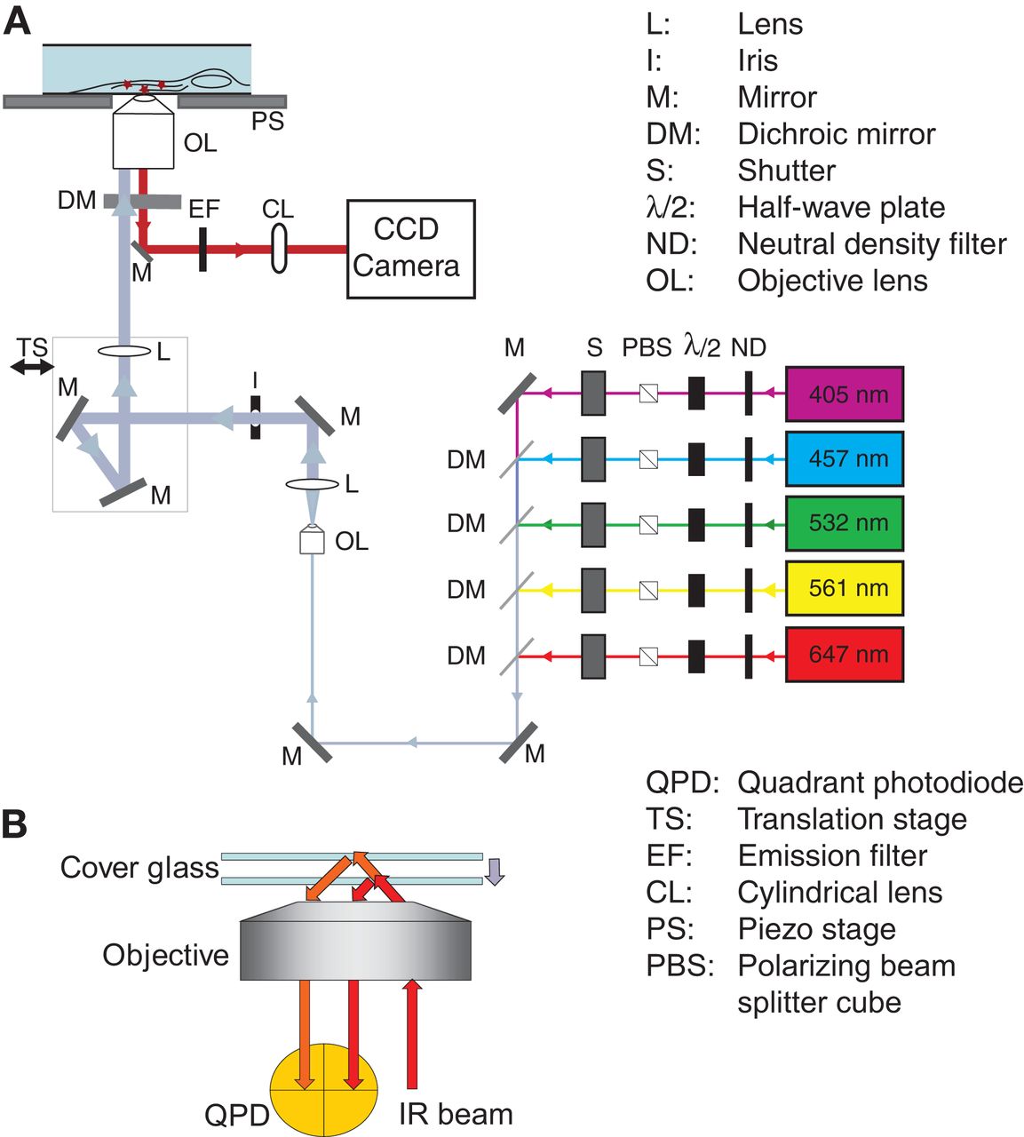 Stochastic Optical Reconstruction Microscopy (STORM): A Method for ...