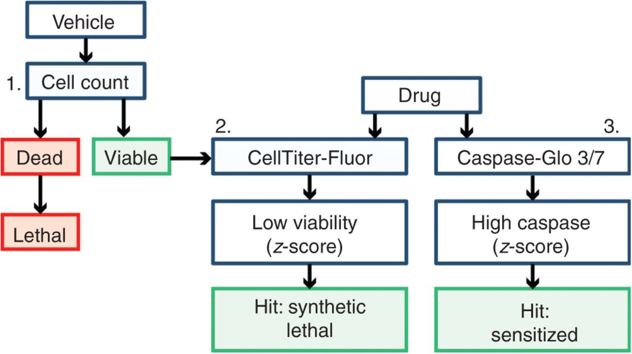 A High-Throughput, Multiplex Cell Death Assay Using an RNAi Screening ...