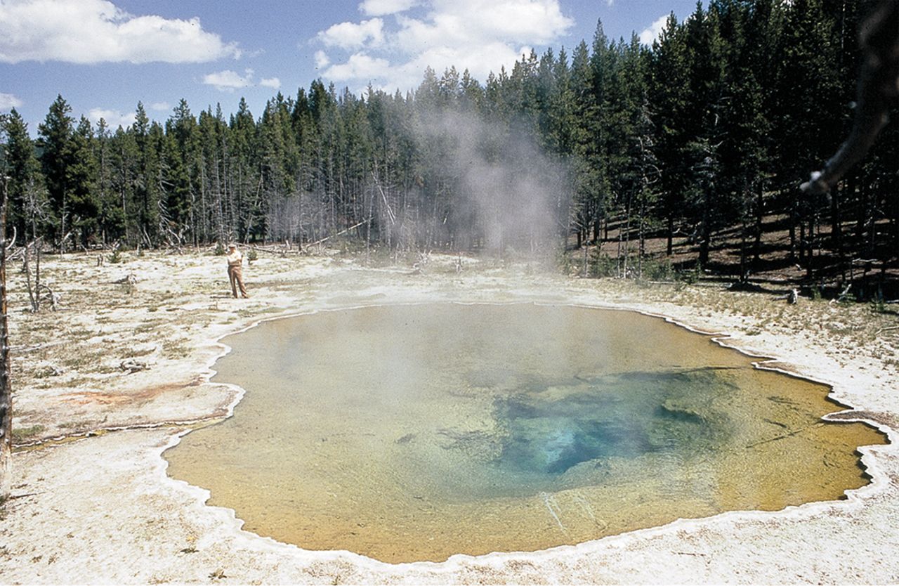 Polymerase Chain Reaction