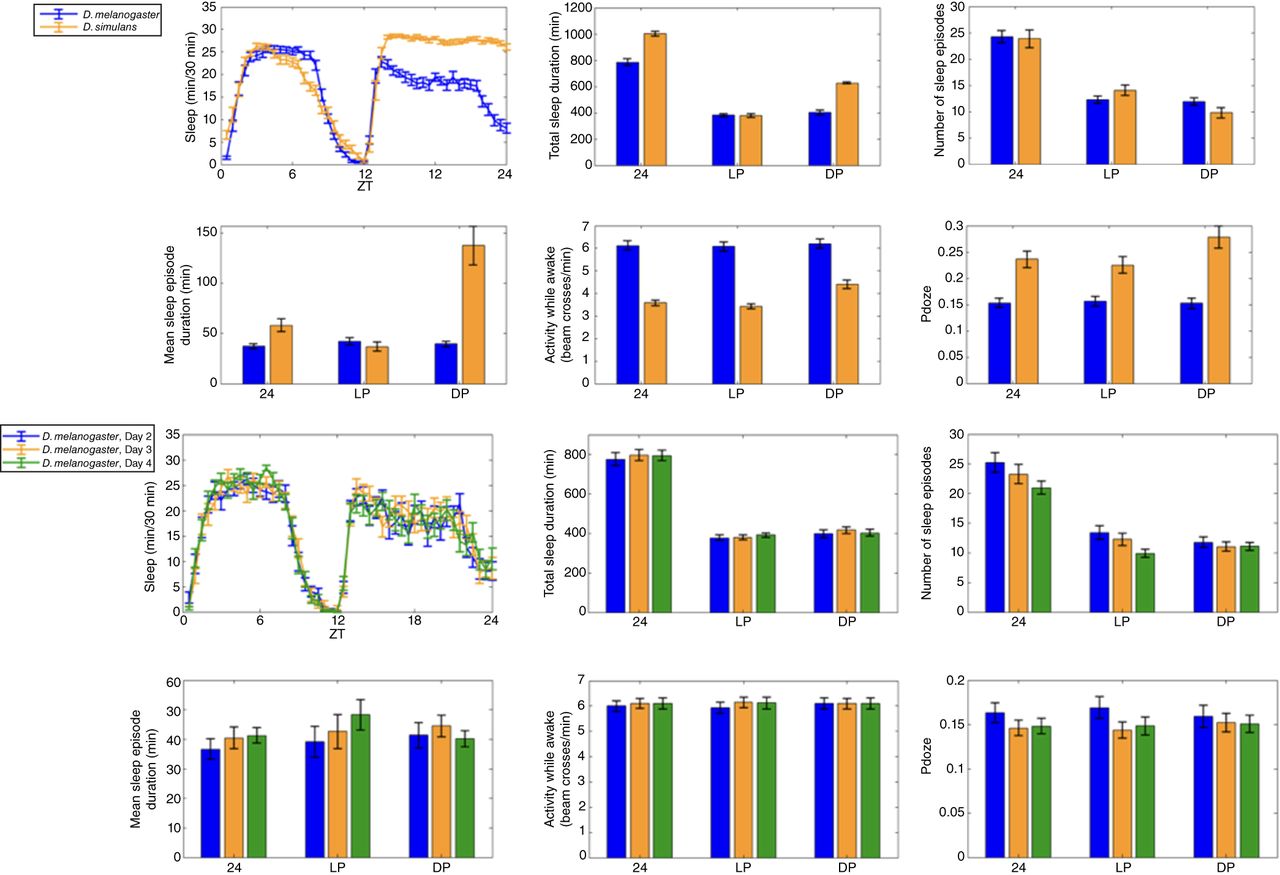 Analysis of Sleep and Circadian Rhythms from Drosophila Activity ...